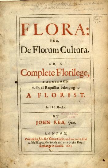 John Rea’s Jewel Gardens | Planting Diaries