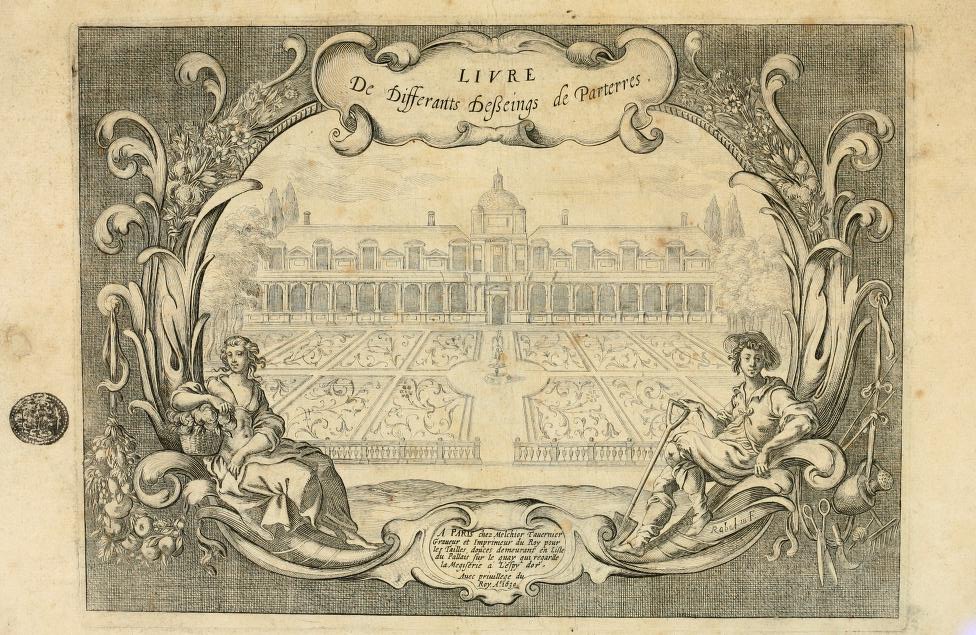 Daniel Rabel | Planting Diaries