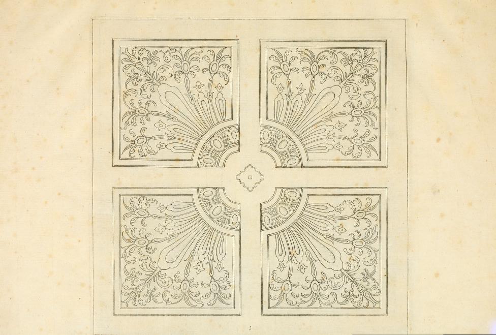 Daniel Rabel | Planting Diaries