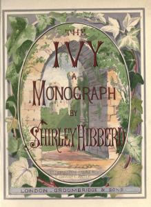 The Appeal of Ivy | Planting Diaries