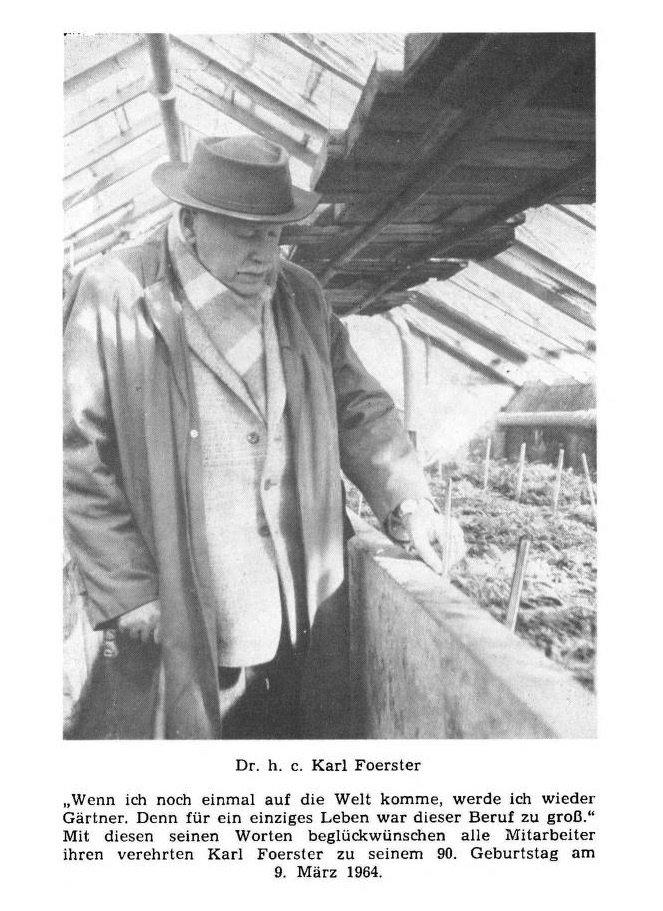 Celebrating Karl Foerster | Planting Diaries