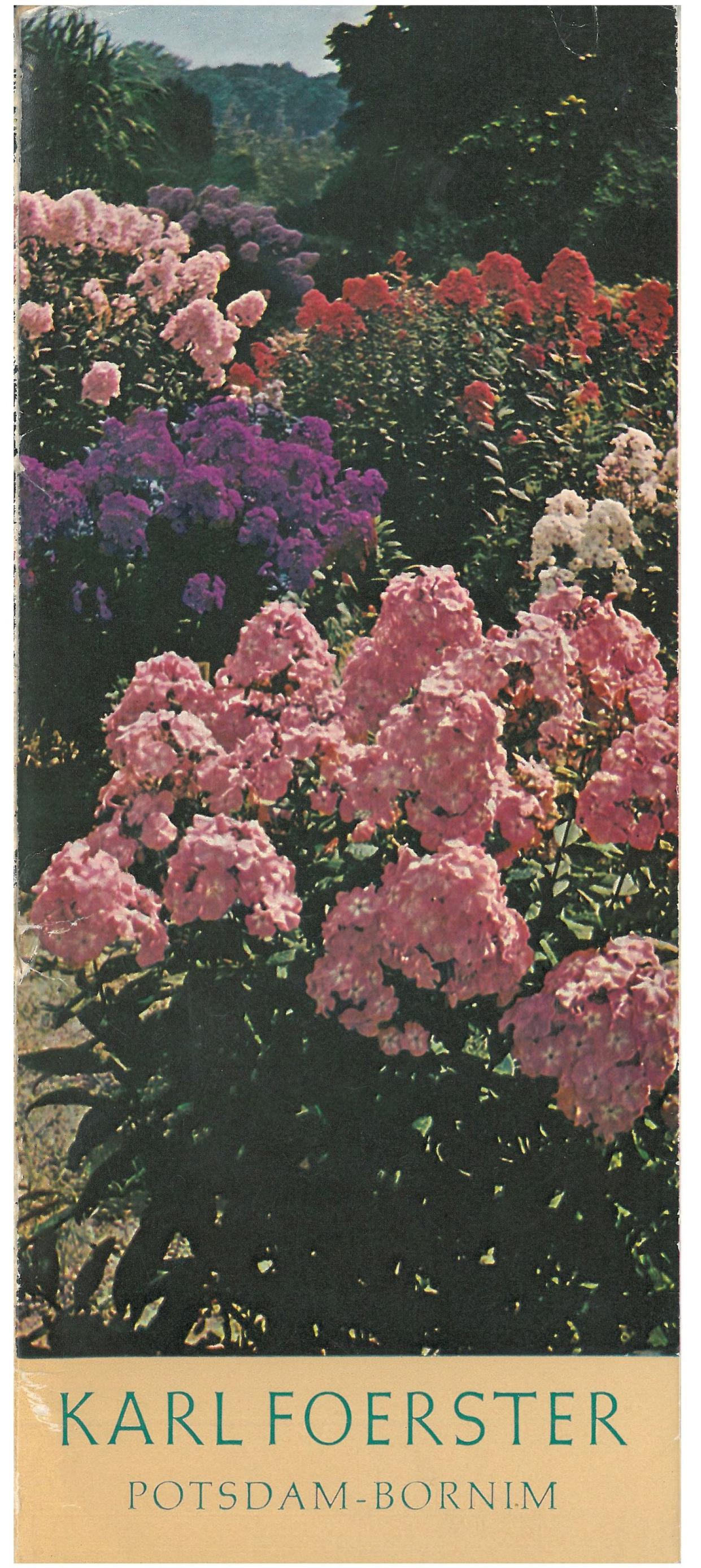 Celebrating Karl Foerster | Planting Diaries