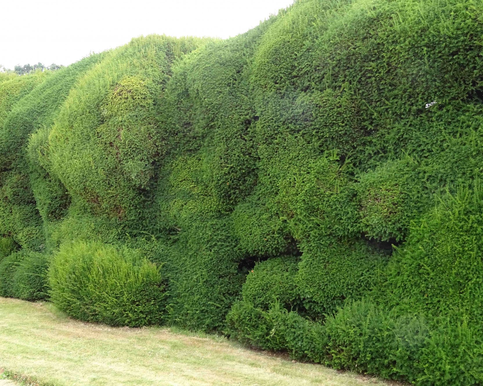 Changing moods at Montacute House gardens | Planting Diaries