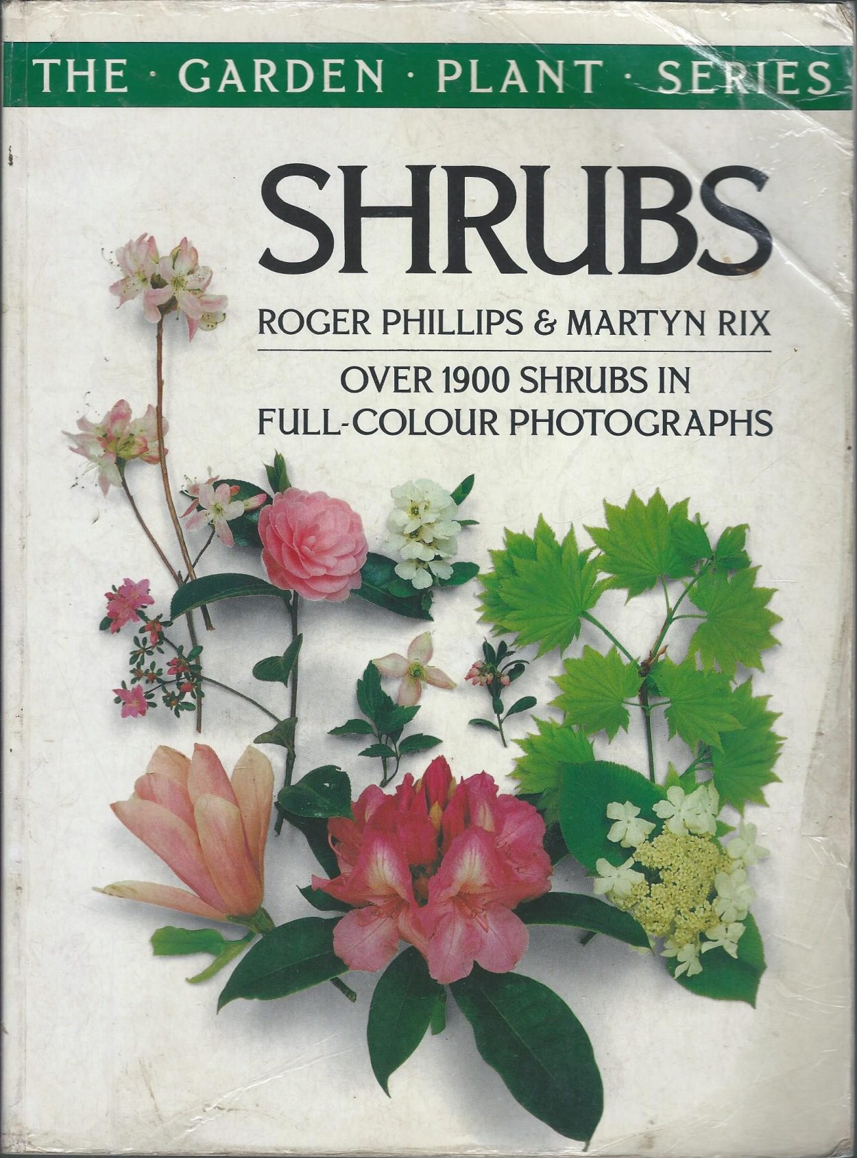 Remembering Roger Phillips | Planting Diaries