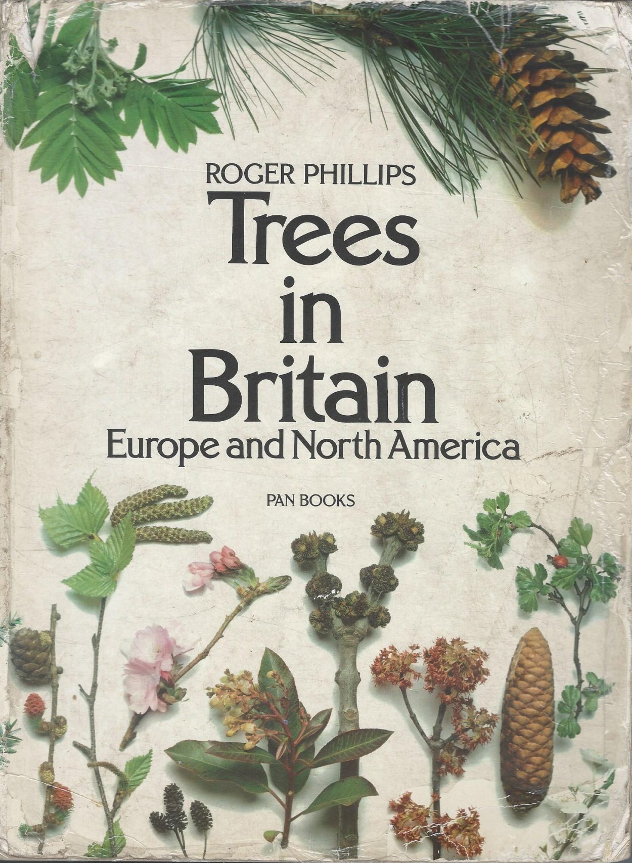 Remembering Roger Phillips | Planting Diaries