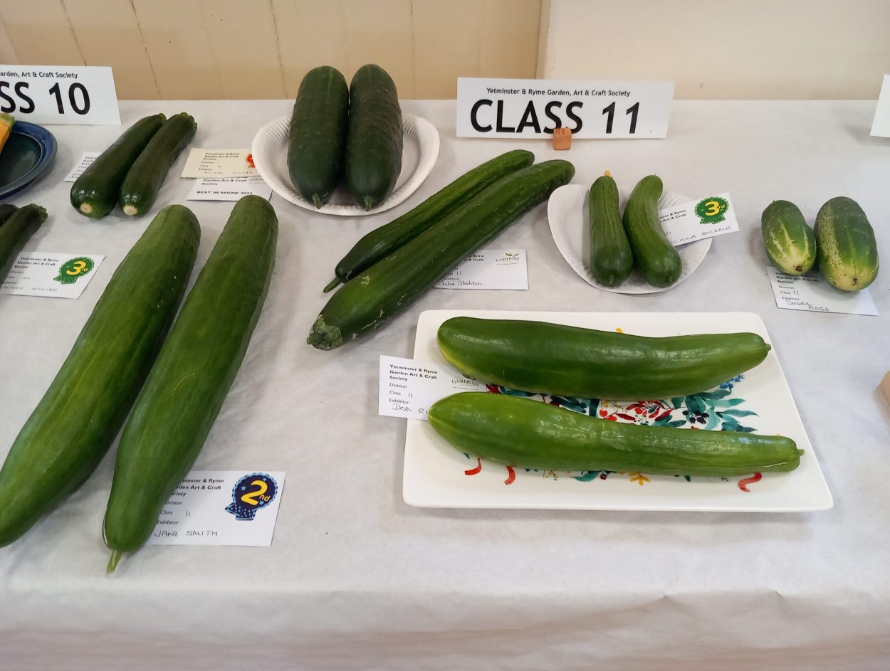 At Yetminster and Ryme Intrinseca Summer Show | Planting Diaries